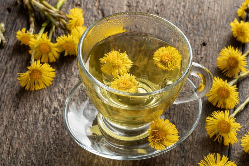 Herbal Tea with Coltsfoot Flowers on a Table Stock Image - Image of ...