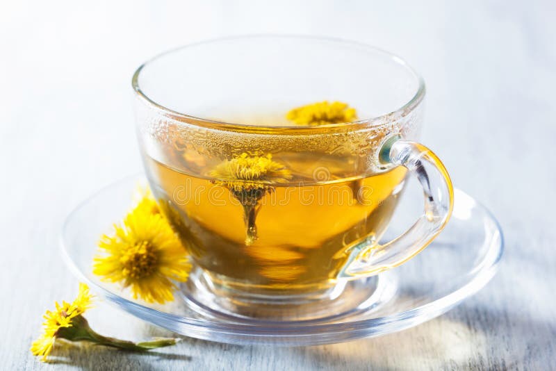 Herbal Tea with Coltsfoot Flowers Stock Image - Image of calm ...