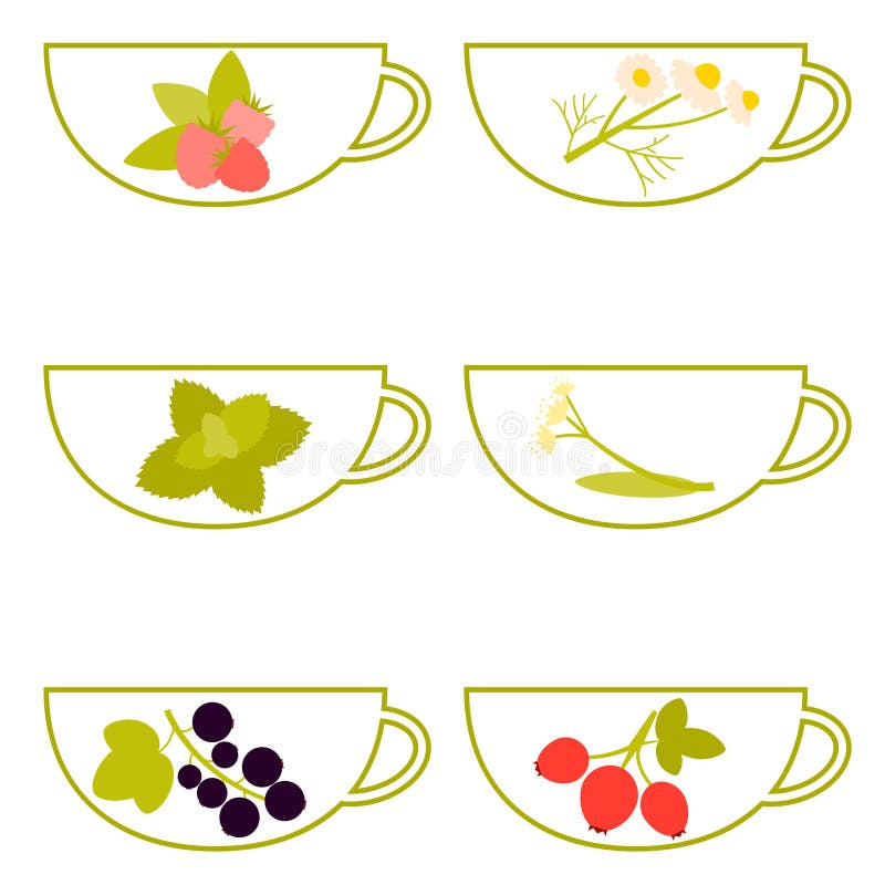 Herbal tea stock vector. Illustration of cute, plant - 73293768