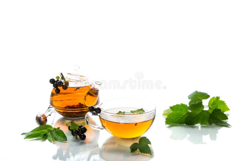 Herbal Tea from Currant Leaves and Berries Stock Photo - Image of white ...