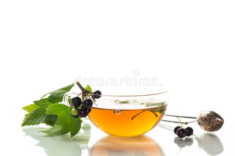 Herbal Tea from Currant Leaves and Berries Stock Photo - Image of ...