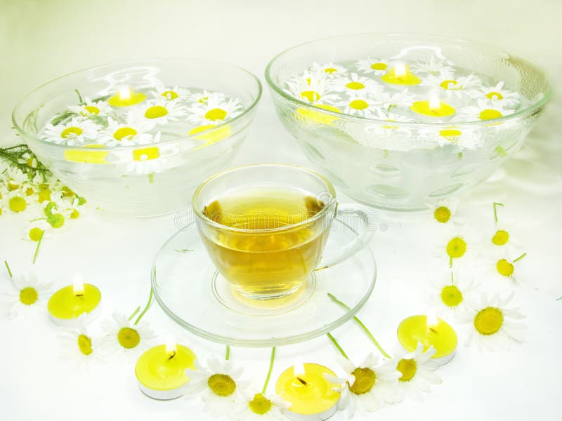 Herbal Tea with Daisy Flowers Stock Image - Image of brown, leaves ...