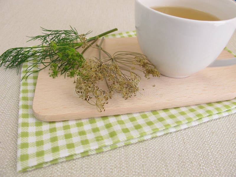 Herbal tea with dill stock photo. Image of herbs, flowerpot - 76927160