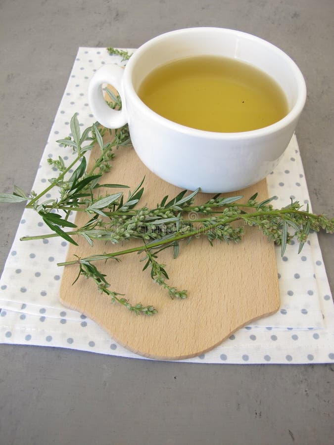 Herbal Tea with Fresh Mugwort Herb Stock Photo - Image of wild ...