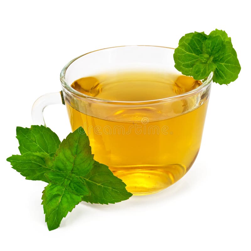 Mint tea stock photo. Image of beverage, drink, refreshment - 17121264