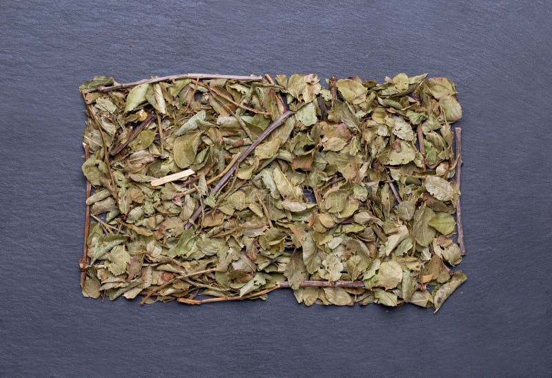 Herbal Tea, Healing and Fragrant Drink for a Pleasant Tea Drinking ...