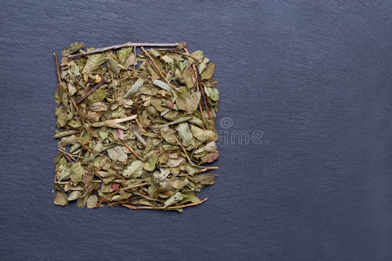 Herbal Tea, Healing and Fragrant Drink for a Pleasant Tea Drinking ...