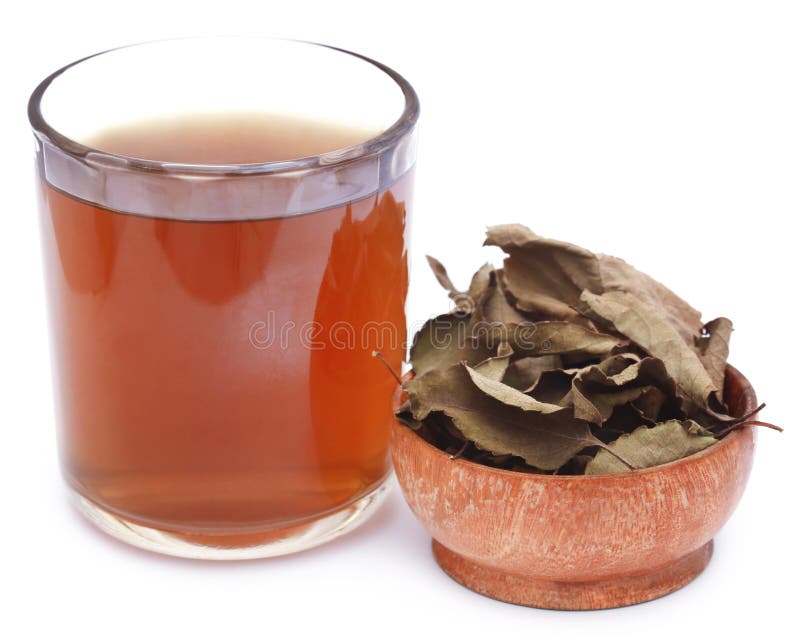 Herbal Tea in a Cup with Tulsi Leaves Stock Photo - Image of foliage ...