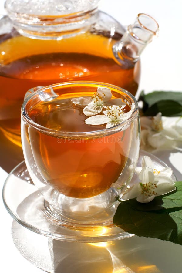 Herbal tea stock image. Image of morning, drink, closeup - 48812911