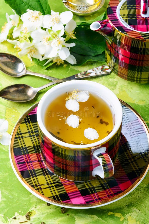 Herbal tea with jasmine stock photo. Image of bloom - 117612418