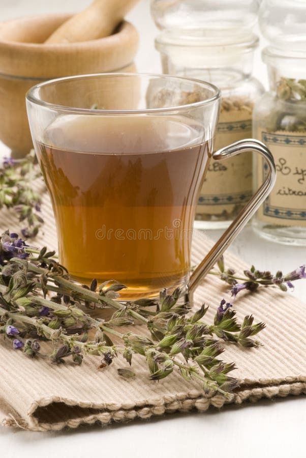 Herbal tea. Lavender. stock photo. Image of focus, tisane - 11889028