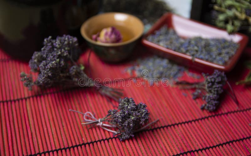 Herbal Tea with Lavender. Dried Lavender Flowers for Tea Stock Image ...