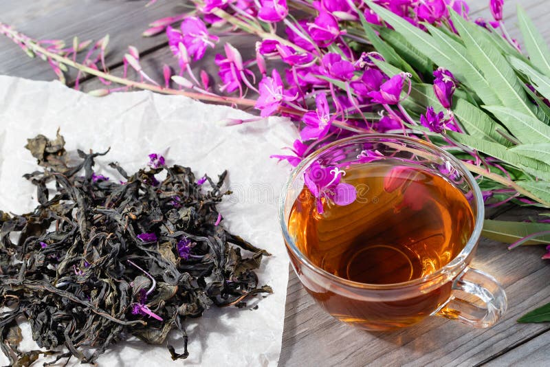 Herbal Tea Made from Fireweed Known As Blooming Sally in Cup Stock ...