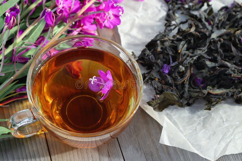 Herbal Tea Made from Fireweed Known As Blooming Sally in Cup Stock ...