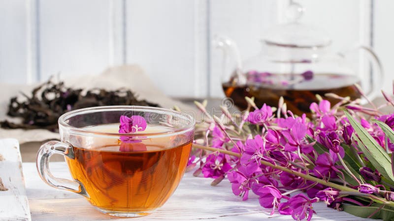 Herbal Tea Made from Fireweed Known As Blooming Sally in Teapot and Cup ...