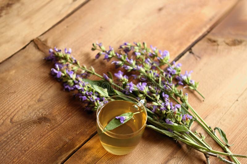 Herbal Tea Made from Sage, Salvia Officinalis on the Table. Stock Image ...