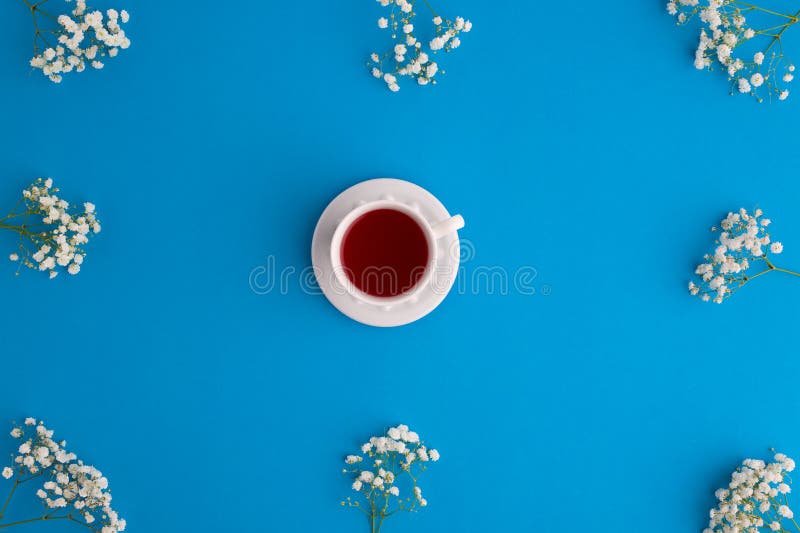 Herbal Tea with One White Tea Cups with White Flowers Flat Lay, Top ...