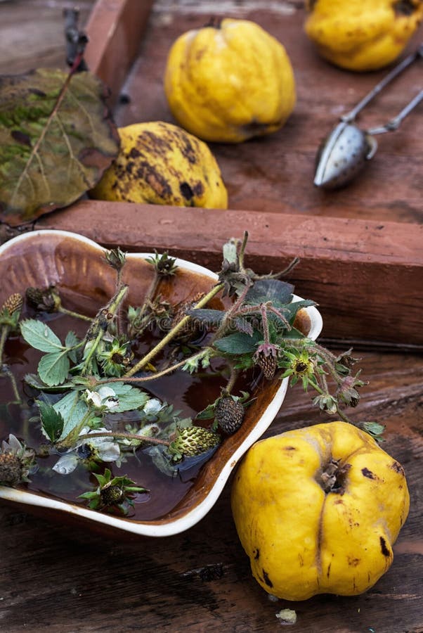 Herbal tea with quince stock image. Image of healthy - 47994253