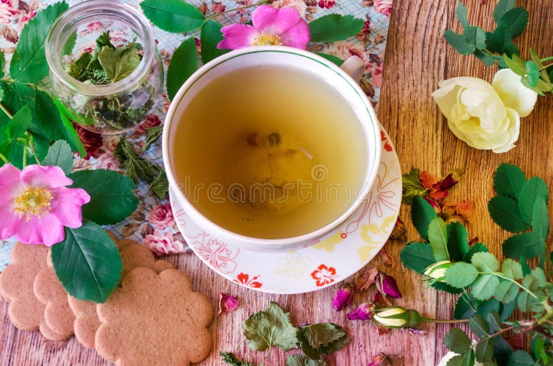 Herbal tea with roses stock photo. Image of drinks, pink - 55173870