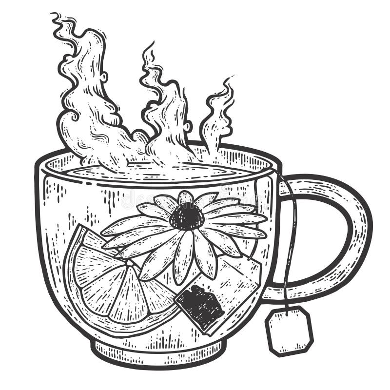 Herbal Tea in a Transparent Cup. Sketch Scratch Board Imitation ...