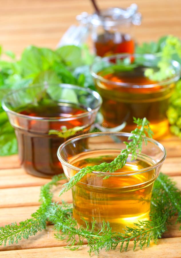Herbal tea stock photo. Image of leaves, entee, home - 34995042