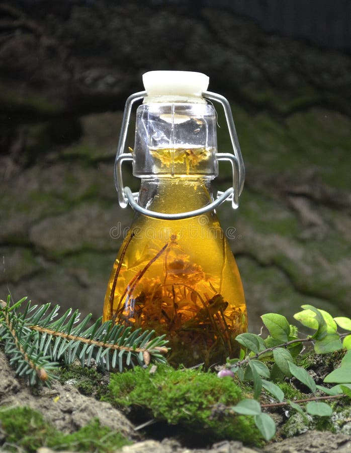 Herbal Tincture Bio Eco Organic Stock Photo - Image of care, cooking ...