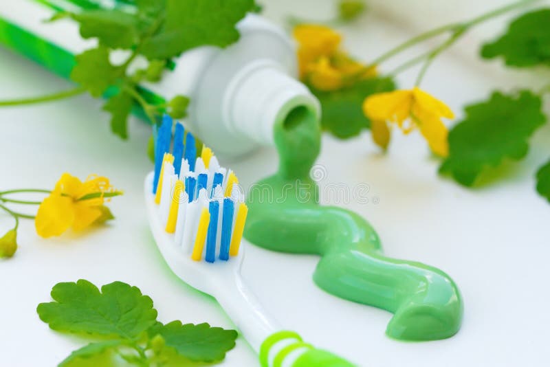 Herbal Toothpaste and Toothbrush Stock Image - Image of mouth, fresh ...