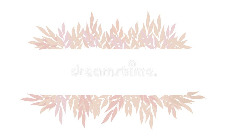 Herbal Vector Frame. Plants, Branches, Leaves on White Background ...