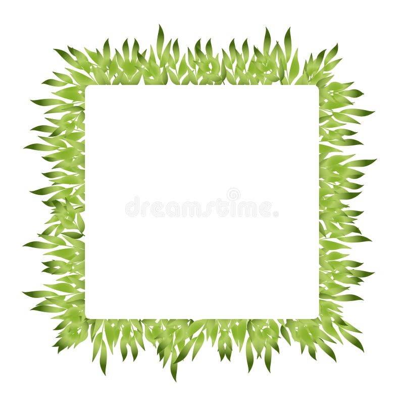 Herbal Vector Frame. Plants, Branches, Leaves on White Background ...