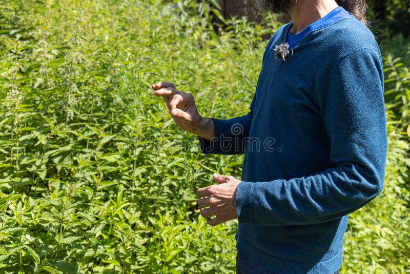 Herbalist Wearing Microphone Explaining about Medicinal Plants Stock ...
