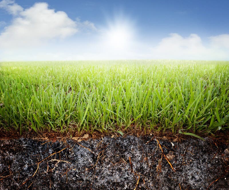Fond De Sol, D'herbe Et De Ciel Photo stock - Image du organique ...