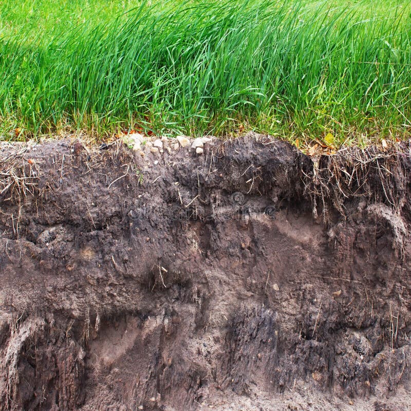 Couches de sol image stock. Image of roche, étage, brun - 79481829