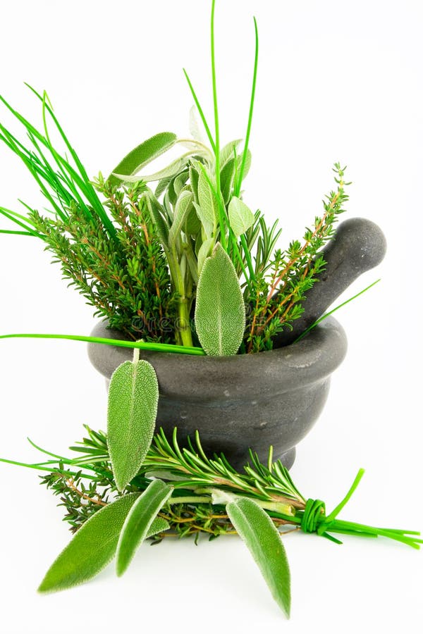 Herbs stock image. Image of mortar, marble, italian, parsley - 18214717