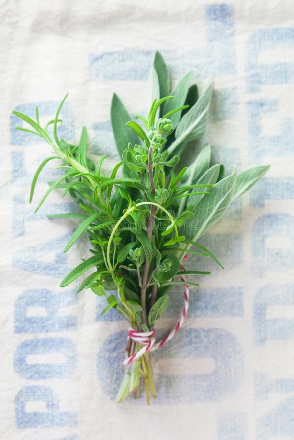 Herbs stock photo. Image of ingredients, green, mixed - 164823770