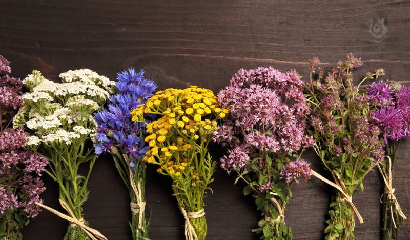 Herbs. stock photo. Image of wild, collection, bunch - 75590522