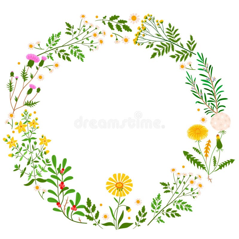 Herbs Flat Hand Drawn Cartoon Frame Stock Illustration - Illustration ...