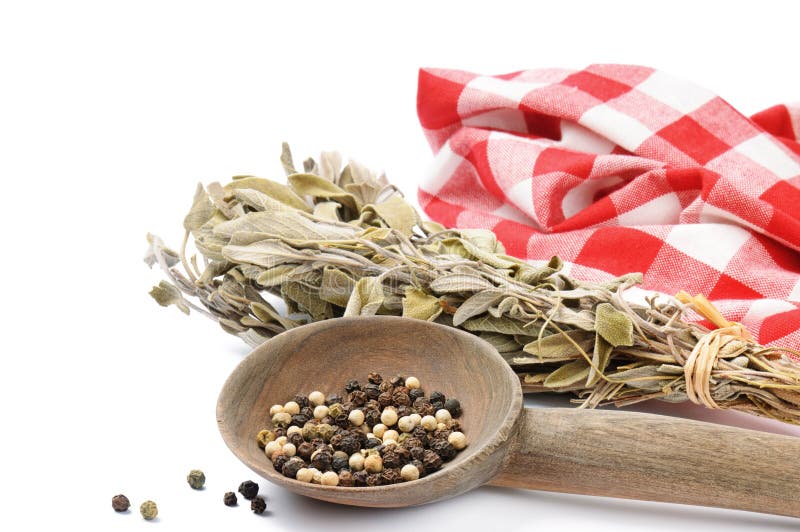 Herbs of French Province. Sage Stock Photo - Image of herb, grain: 22466638