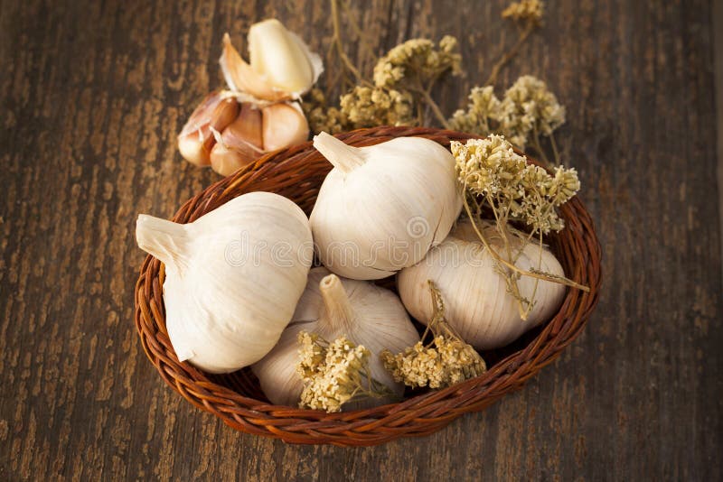 Herbs and garlic stock image. Image of herb, food, gourmet - 28221829