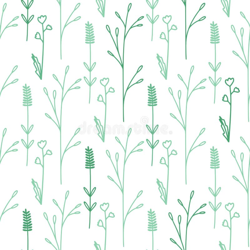 Herbs and Greenery Vector Seamless Pattern Stock Vector - Illustration ...