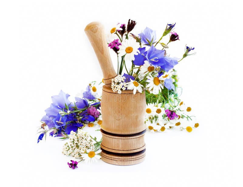 Herbs stock image. Image of alternative, natural, yarrow - 31856465