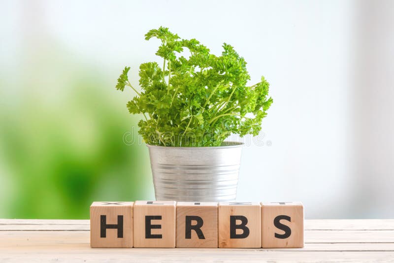 Herbs in a metal bucket stock image. Image of kitchen - 71326955