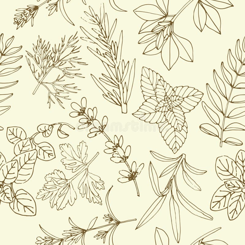 Herbs seamless pattern stock illustration. Illustration of healthy ...