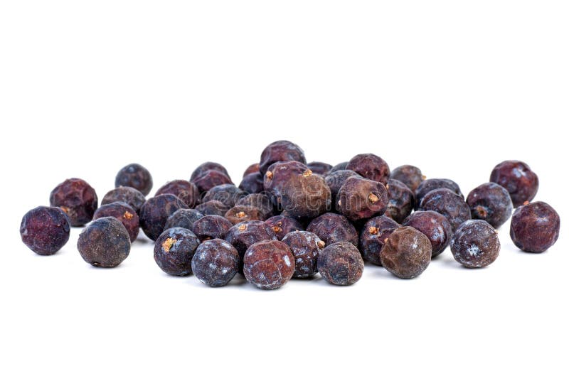 Dried Red Juniper (Juniperus Oxycedrus) Berries Stock Photo - Image of ...