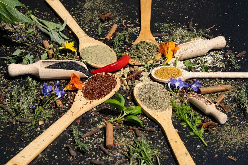 Herbs and spices stock photo. Image of capsicum, group - 281675940