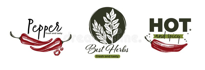 Herbs and Spices Logo Set stock vector. Illustration of logo - 328470844