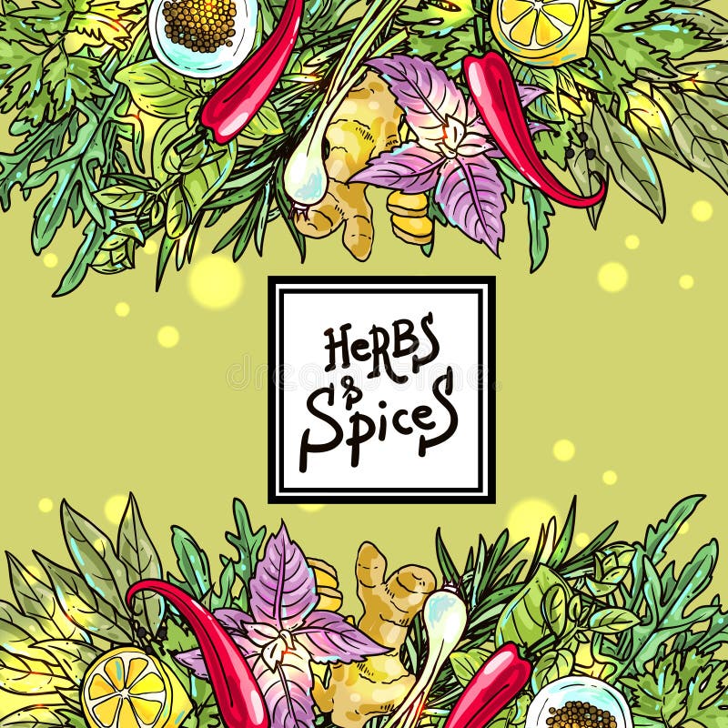 Herbs and spices stock vector. Illustration of herb, fresh - 68968818