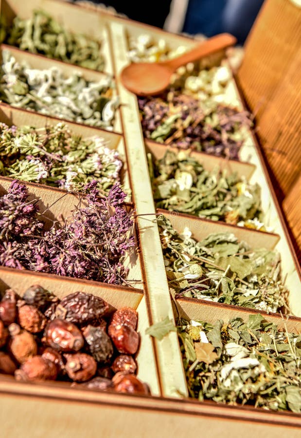 Herbs for Tea . Herbs and Tea Collection . Stock Image - Image of ...
