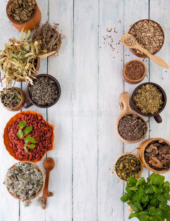 Herbs for Tea. Copy space stock photo. Image of flax - 240355538