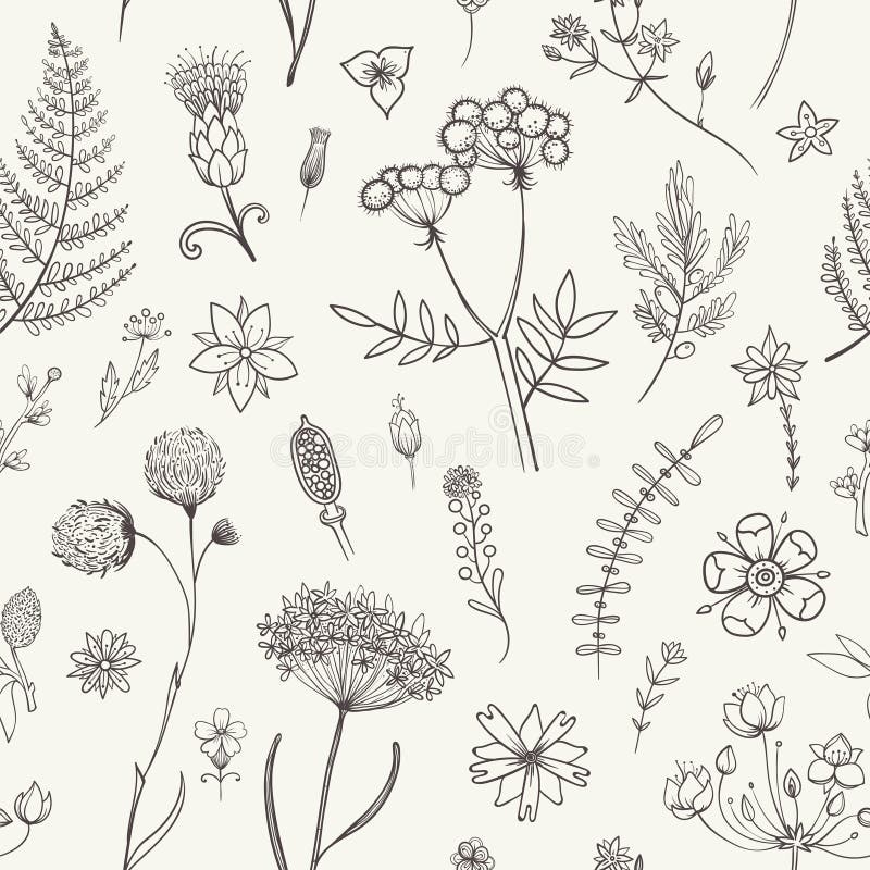 Herbs and Wild Flowers. Botany Pattern Stock Vector - Illustration of ...