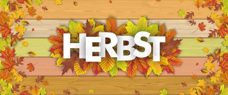 Herbst Autumn Colors Wooden Planks Foliage Header Stock Vector ...